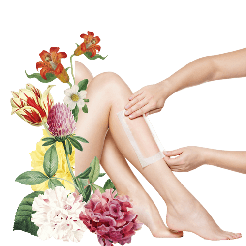 Collate Nails | Home